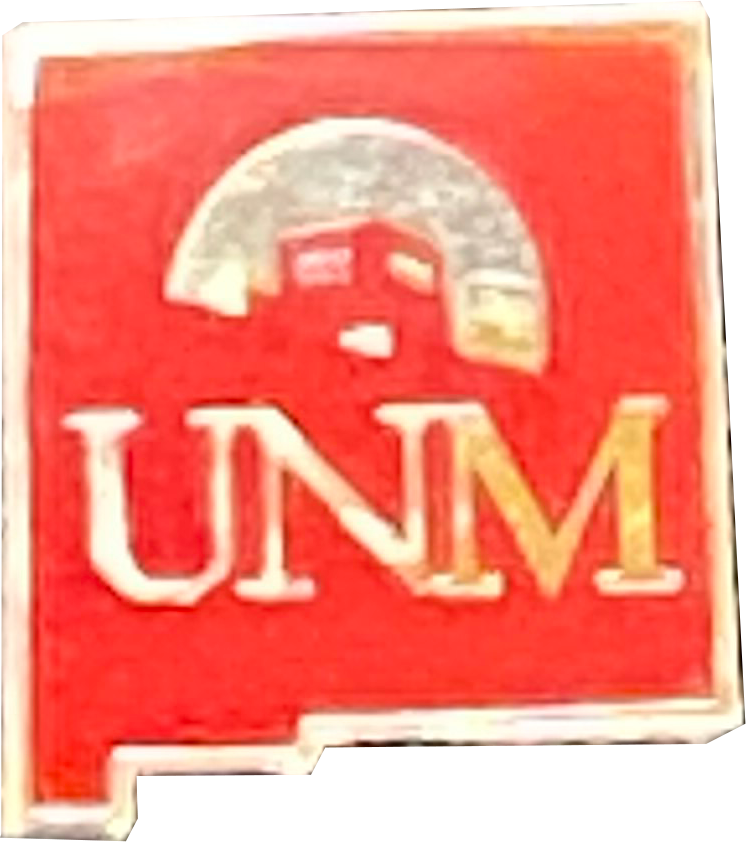 UNM State Shaped Lapel Pin – UNMLobos